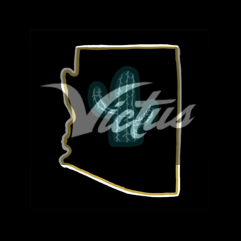MMW Victus AZ baseball roster | FieldLevel
