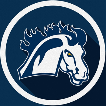 Mount Mercy University baseball program | FieldLevel
