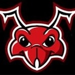 USC - Sumter baseball roster | FieldLevel