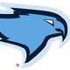 Lamar State College - Port Arthur softball program | FieldLevel